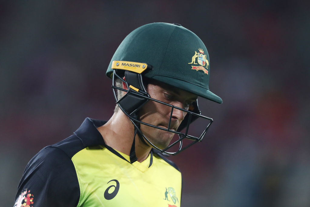 Twitter reacts to Alex ‘sly’ Carey and Glenn Maxwell convincing umpires ...