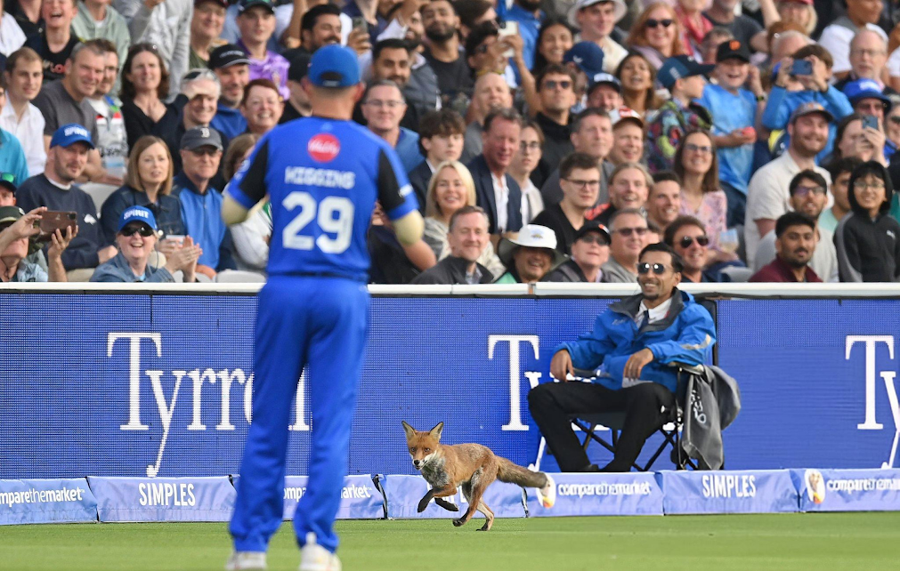 Watch, The Hundred | Fox’s day out at Lord’s as it completes lap of ...